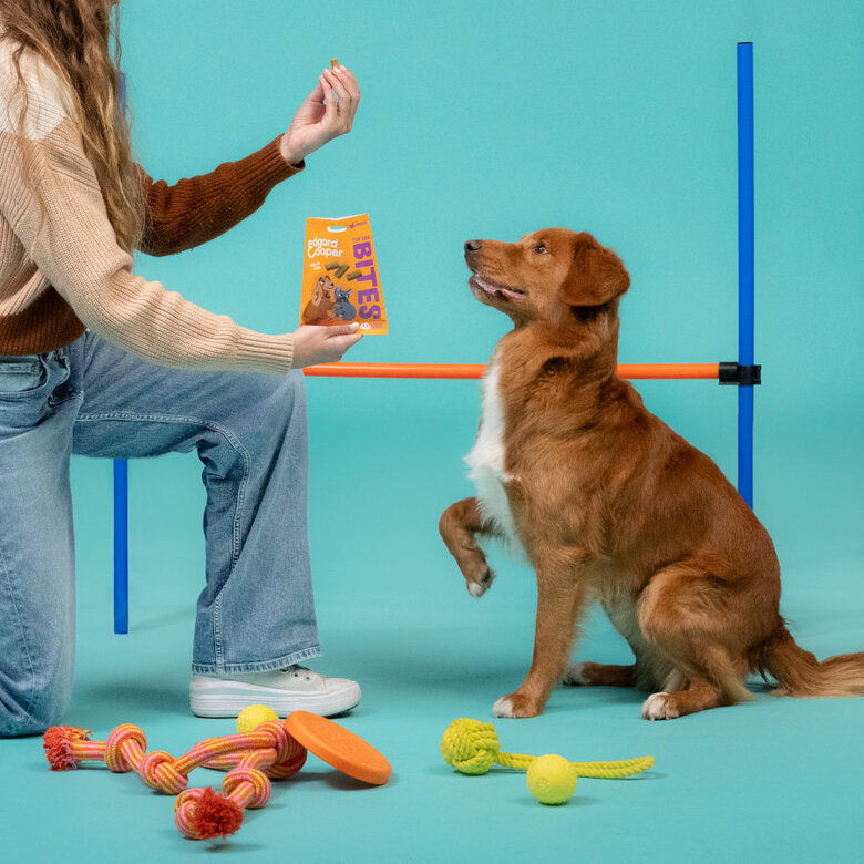 Edgard & Cooper Snacks Grandes de Salmão e Frango para cães | Tiendanimal